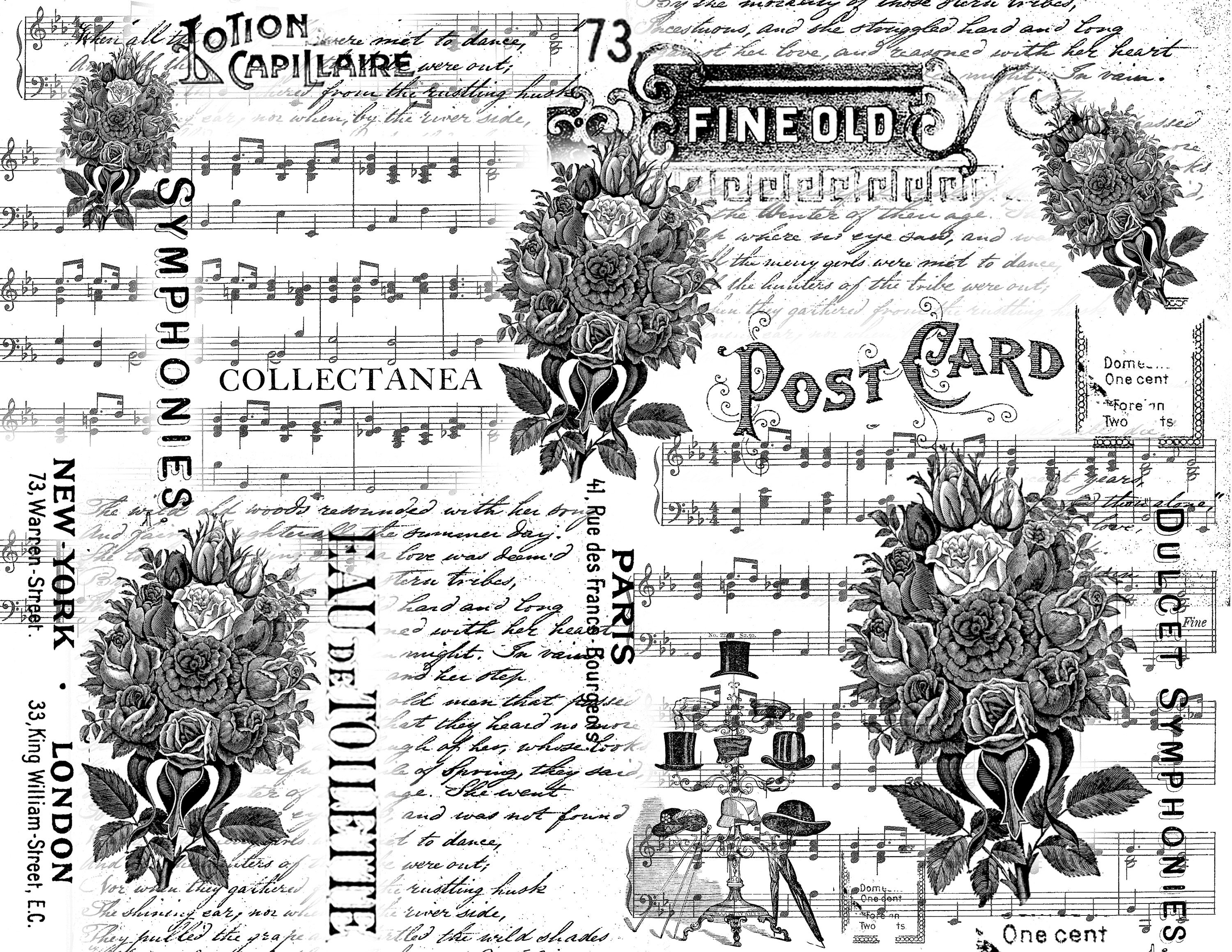 Collectanea White Background Digital Paper Collection - Etsy