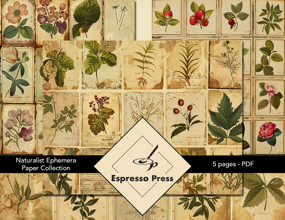 Naturalist Ephemera Paper Collection - PDF Only, Papers, Leaves, Flower ...
