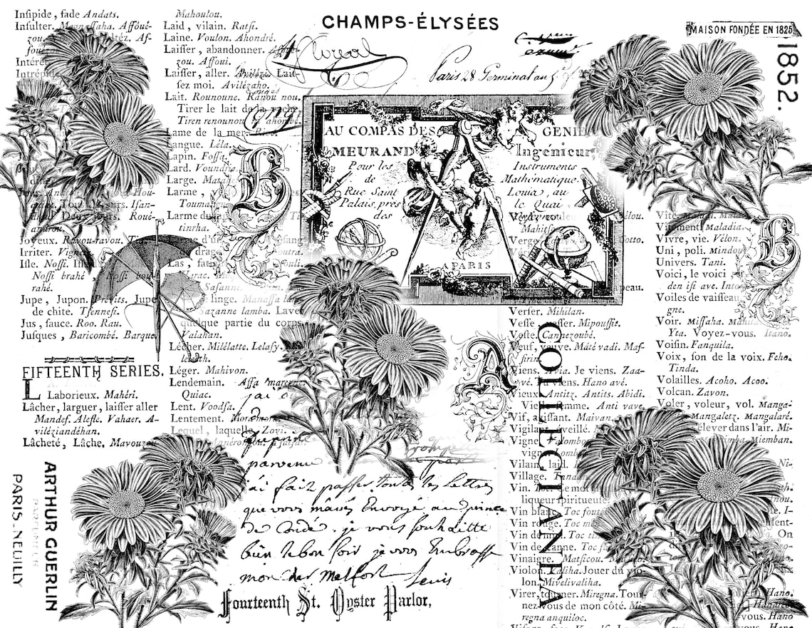 Collectanea White Background Digital Paper Collection - Etsy