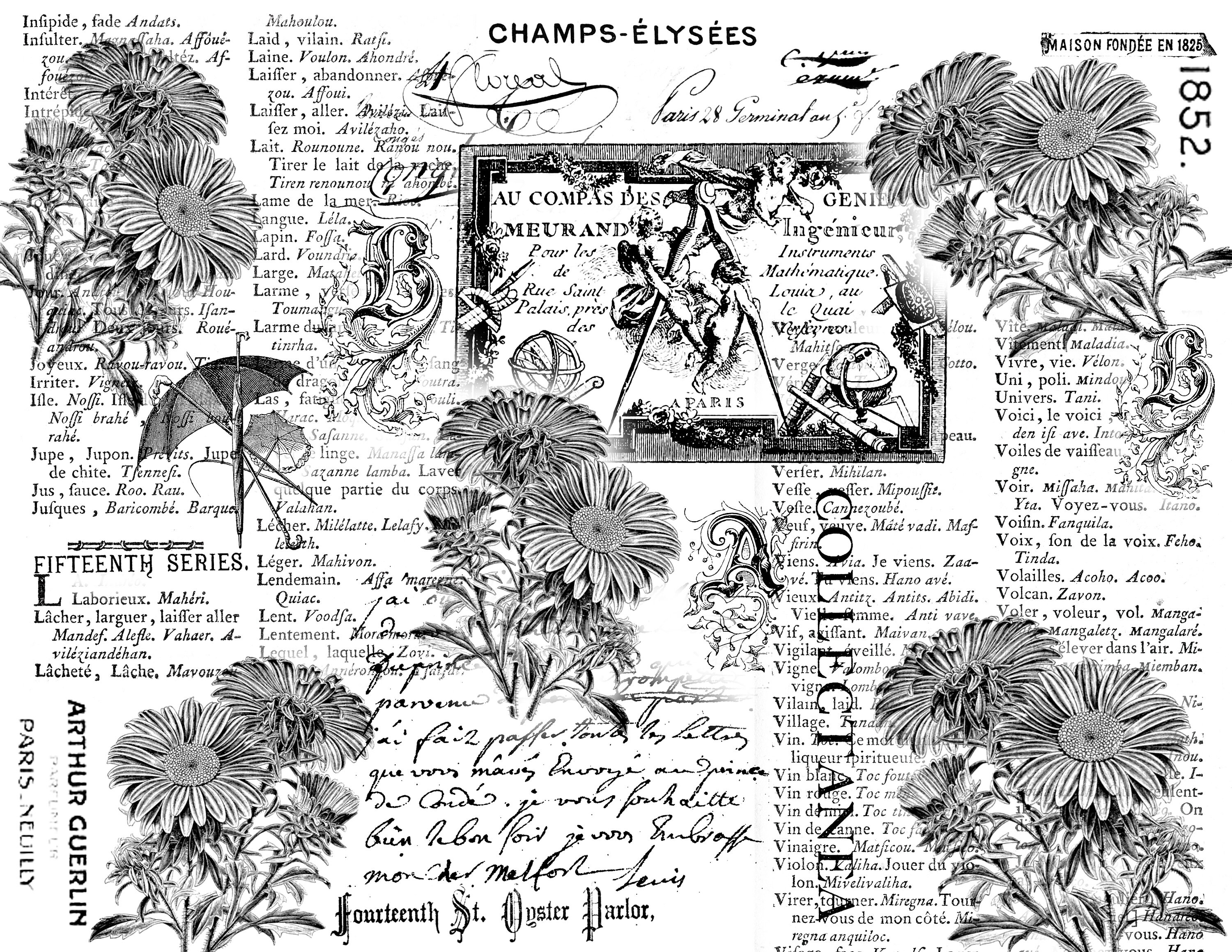 Collectanea White Background Digital Paper Collection - Etsy