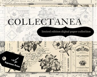 Collectanea White Background Digital Paper Collection | Etsy