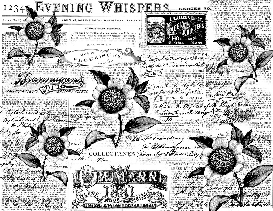 Collectanea White Background Digital Paper Collection - Etsy