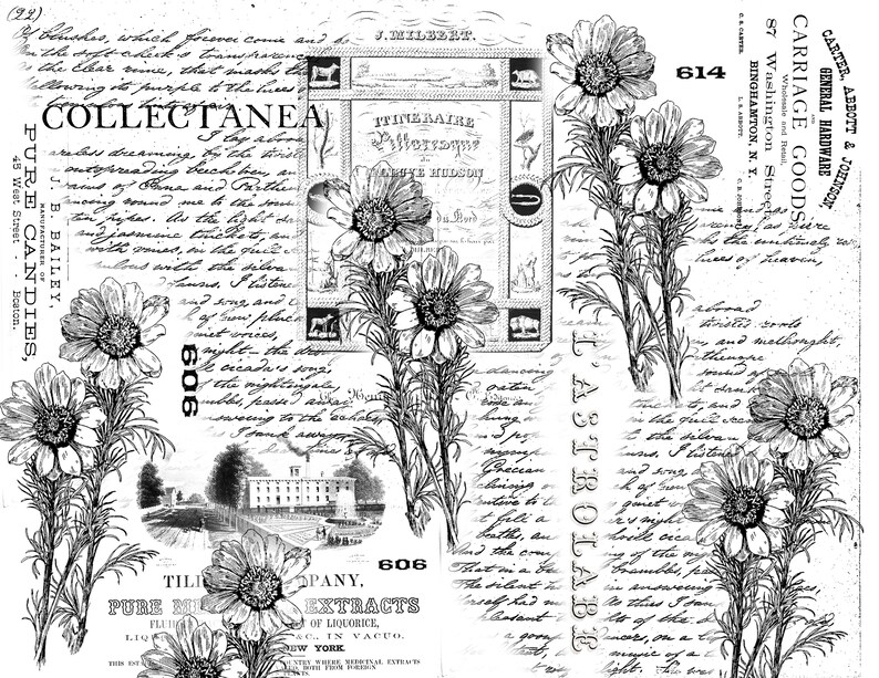Collectanea White Background Digital Paper Collection - Etsy
