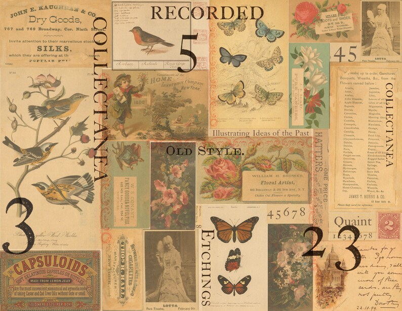 Oddities Digital Paper Collection - Etsy