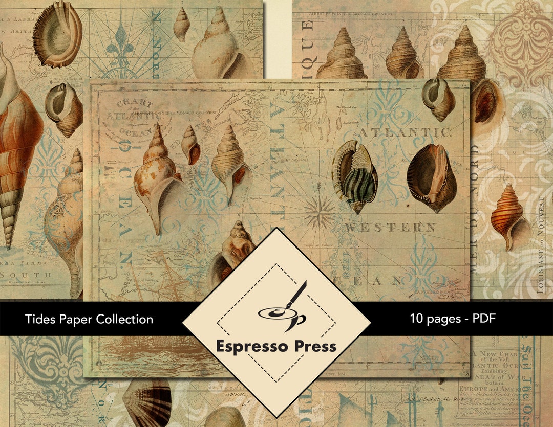 Tides Paper Collection - PDF Only, Papers, Seashells, Beach, Sea, Text ...