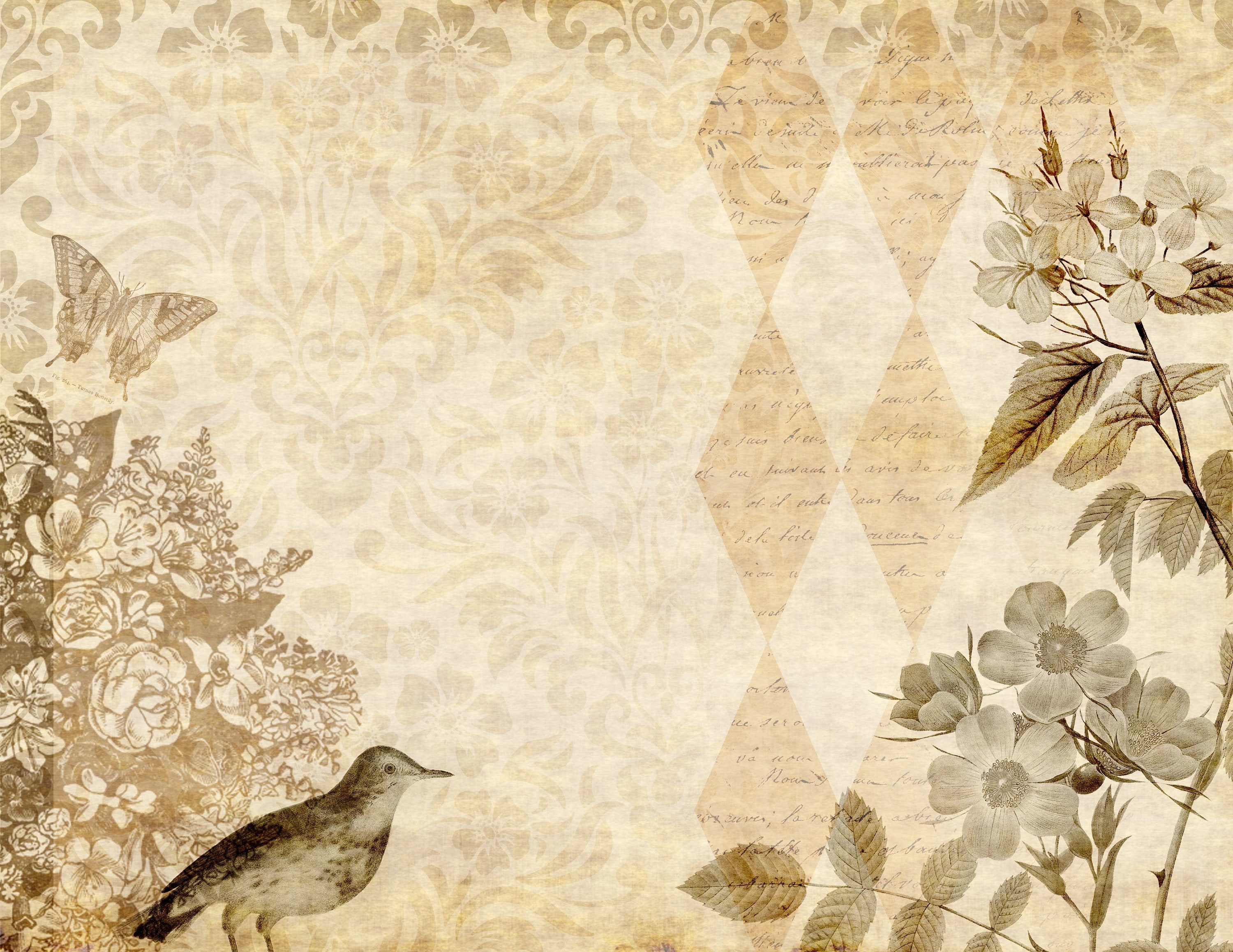 Anastasia Journal Paper Collection - Etsy Australia