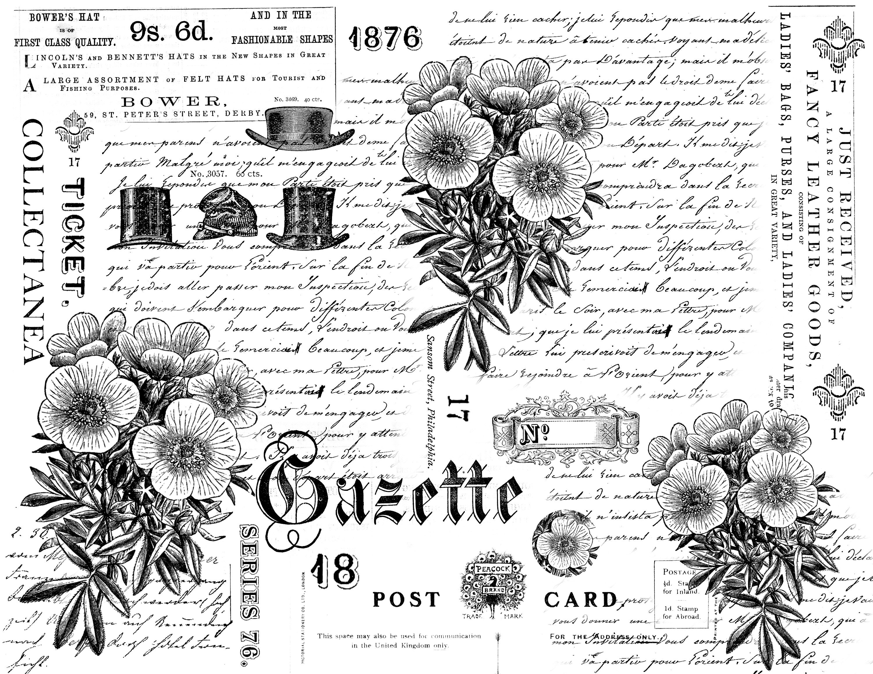 Collectanea White Background Digital Paper Collection - Etsy