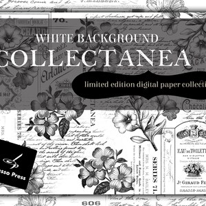 Collectanea White Background Digital Paper Collection - Etsy