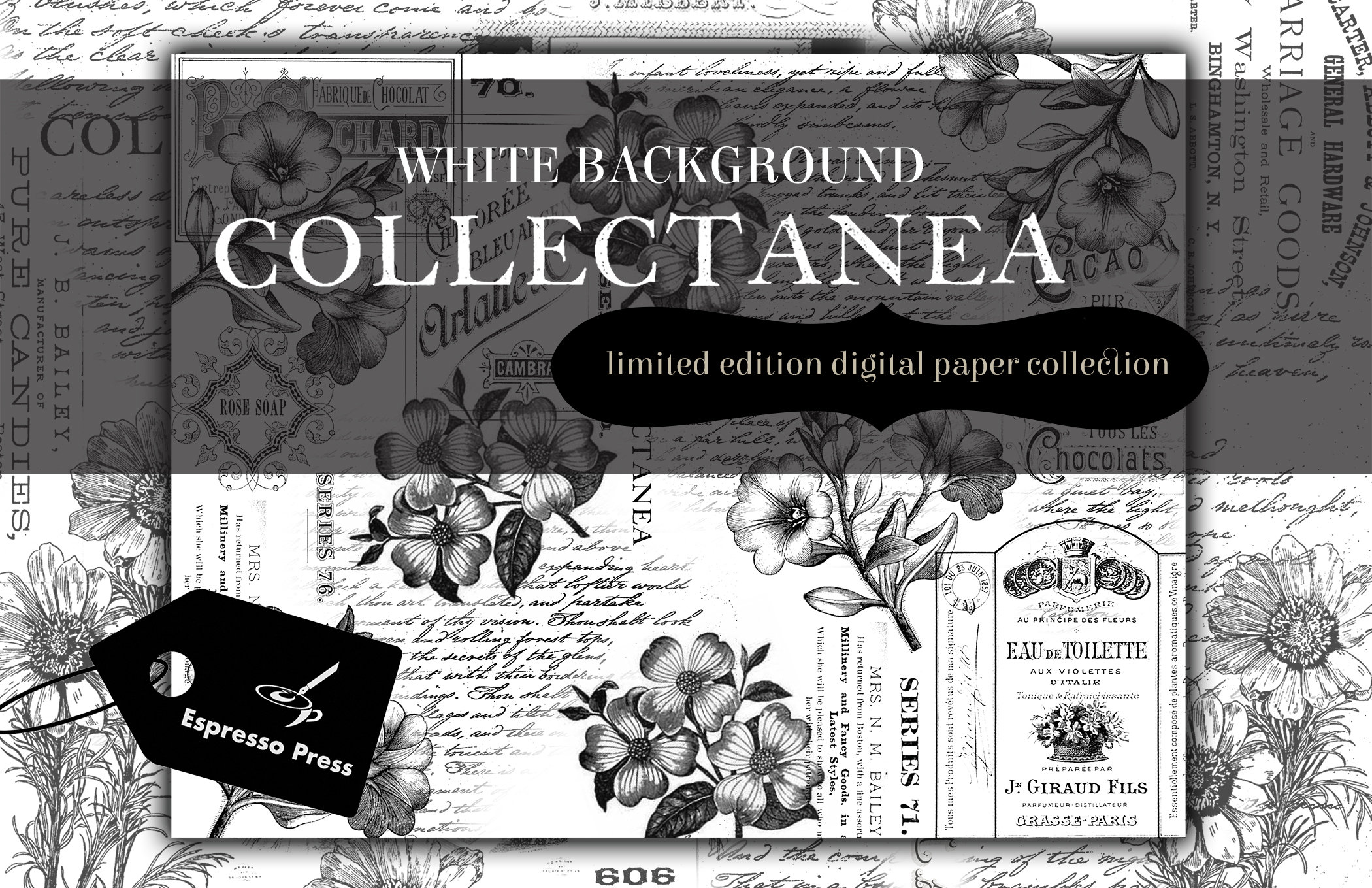 Collectanea White Background Digital Paper Collection - Etsy