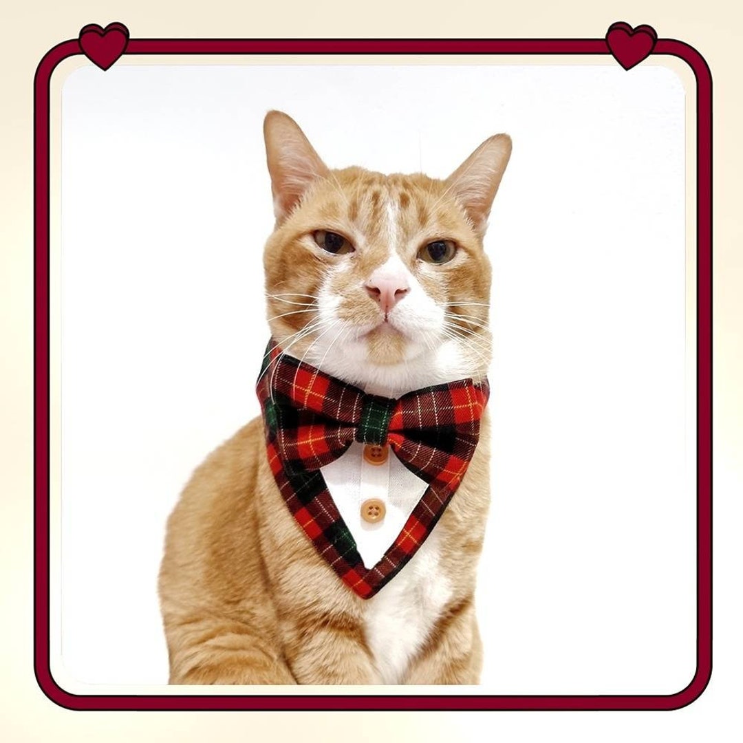 Cat Bowtie Tuxedo Red Collar With Breakaway Safety Buckle , for Kitten ...