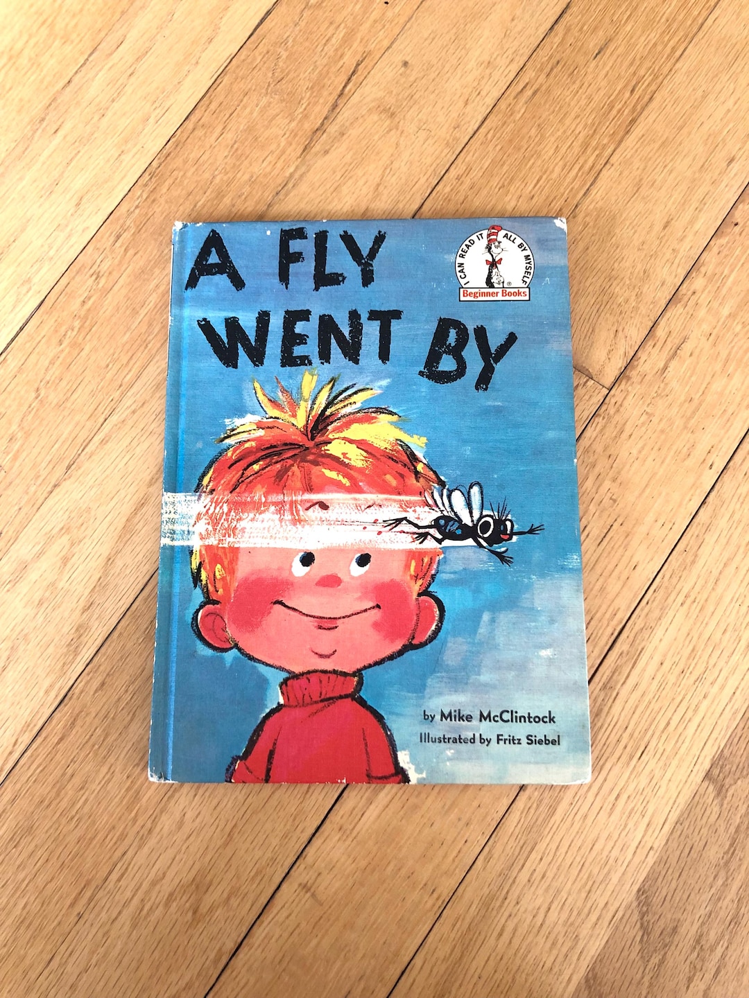 1958 First Edition Beginners Book A Fly Went By Hardcover Book by Mike ...