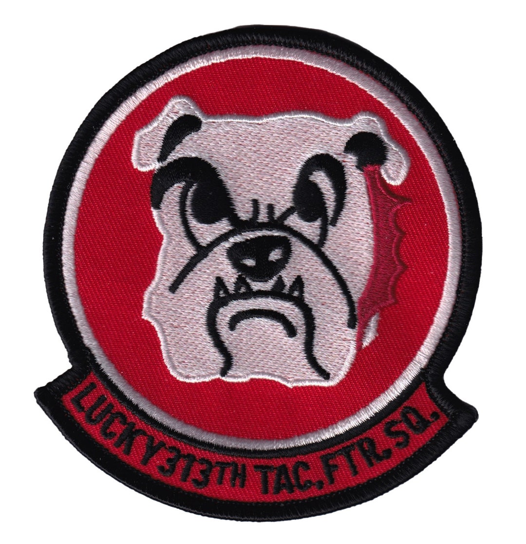 313th Tactical Fighter Squadron Patch Hook and Loop, 4 - Etsy