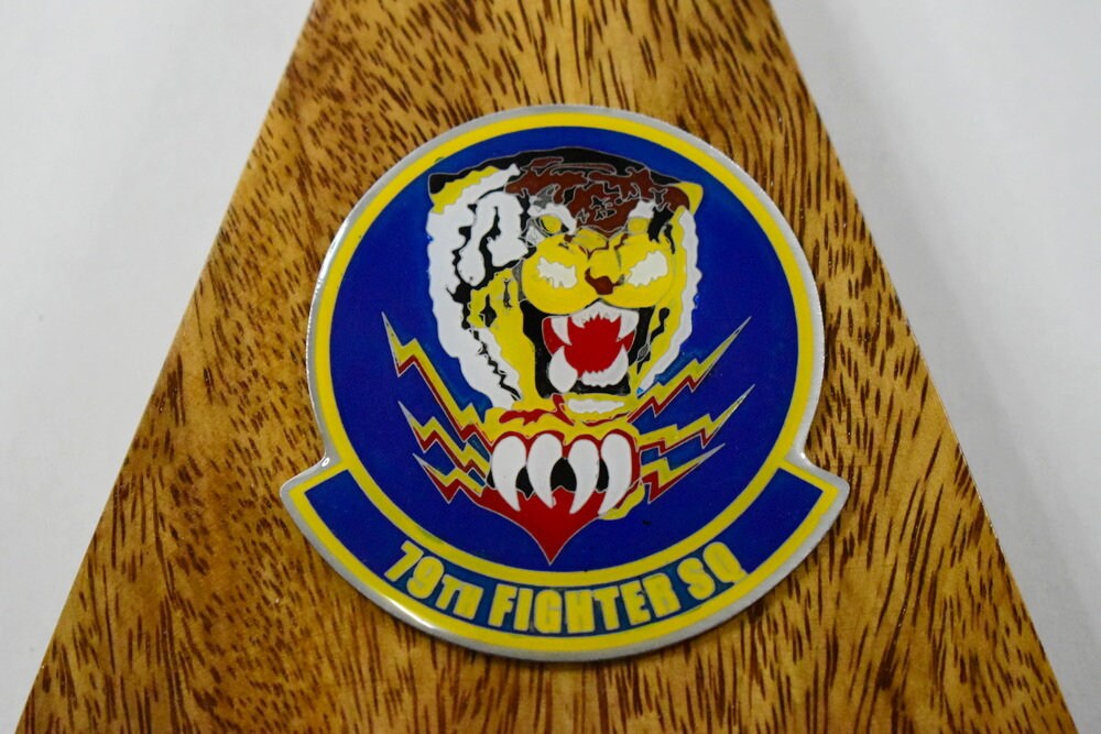 79th FS Tigers F-16 Model Scale Model USAF Veteran Pilot - Etsy