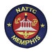NATTC Memphis Patch Sew On - Etsy
