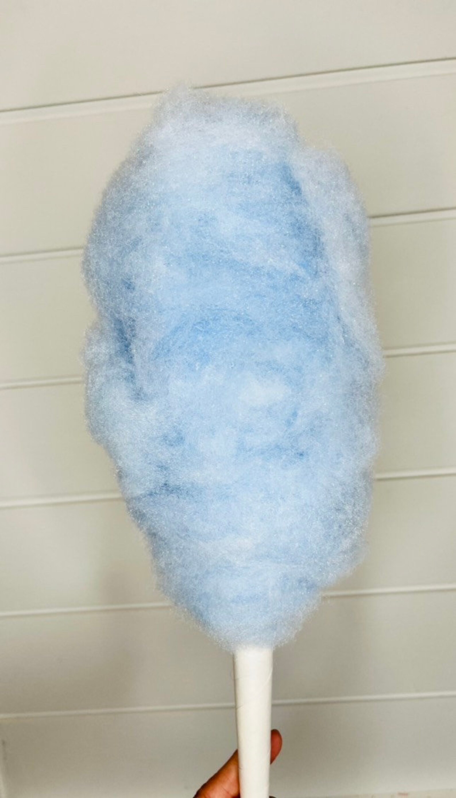 Fake Cotton Candyfake Foodcarnival Propscarnival Photo - Etsy