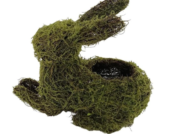 14x13" Moss Covered Grapevine Rabbit Planter I Rustic Bunny Flower ...