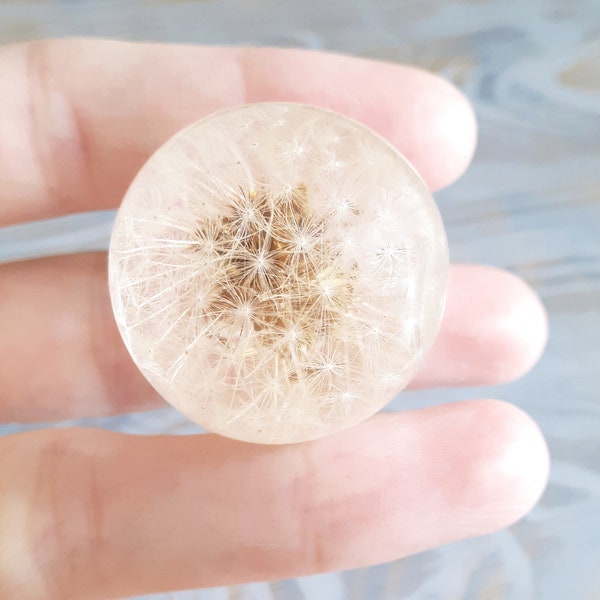 Dandelion in Resin - Etsy