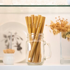 10 Reusable Bamboo Drinking Straws Zero Waste Sustainable | Etsy