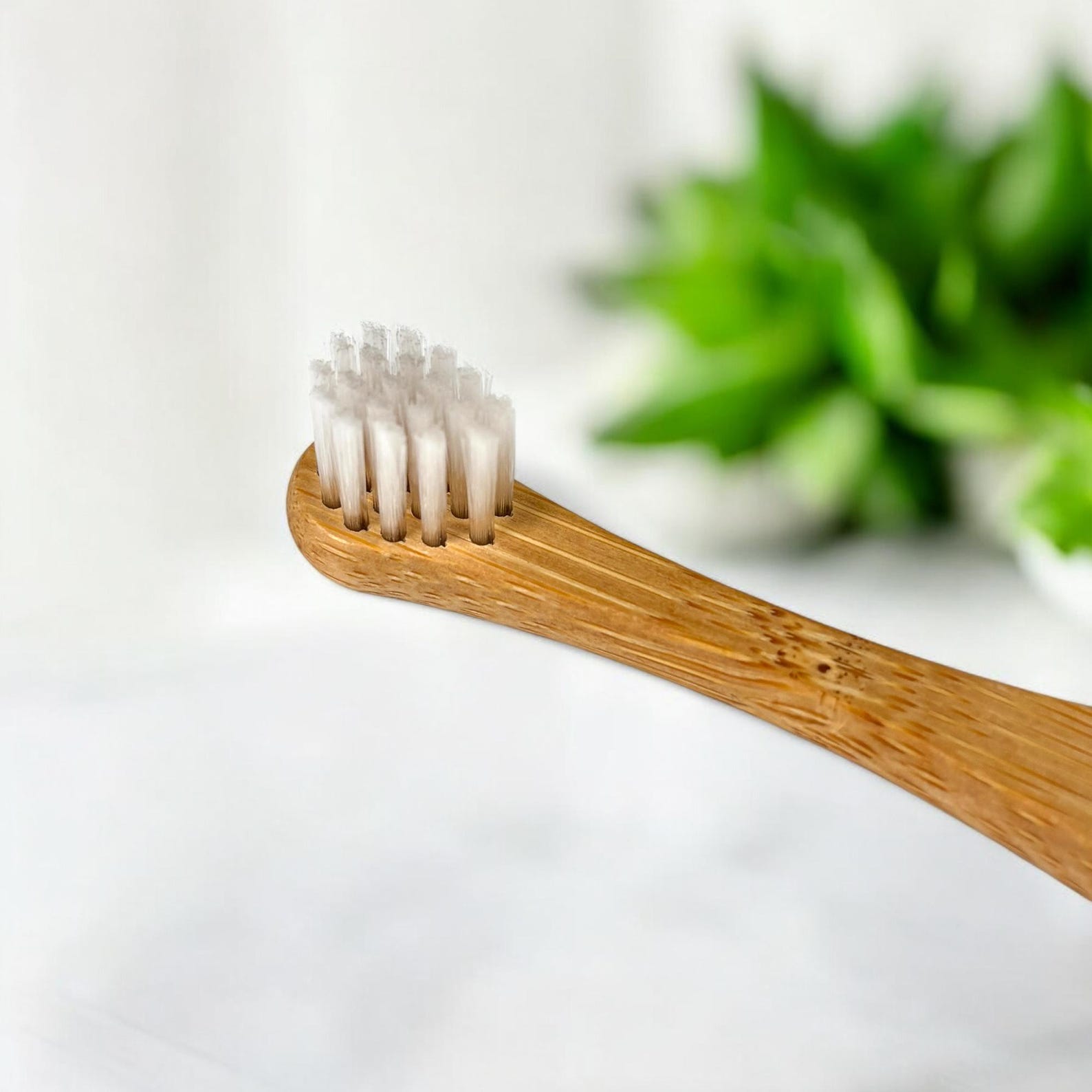 Bamboo Cat Toothbrush | Eco-friendly Natural Bristles | Plastic-free ...