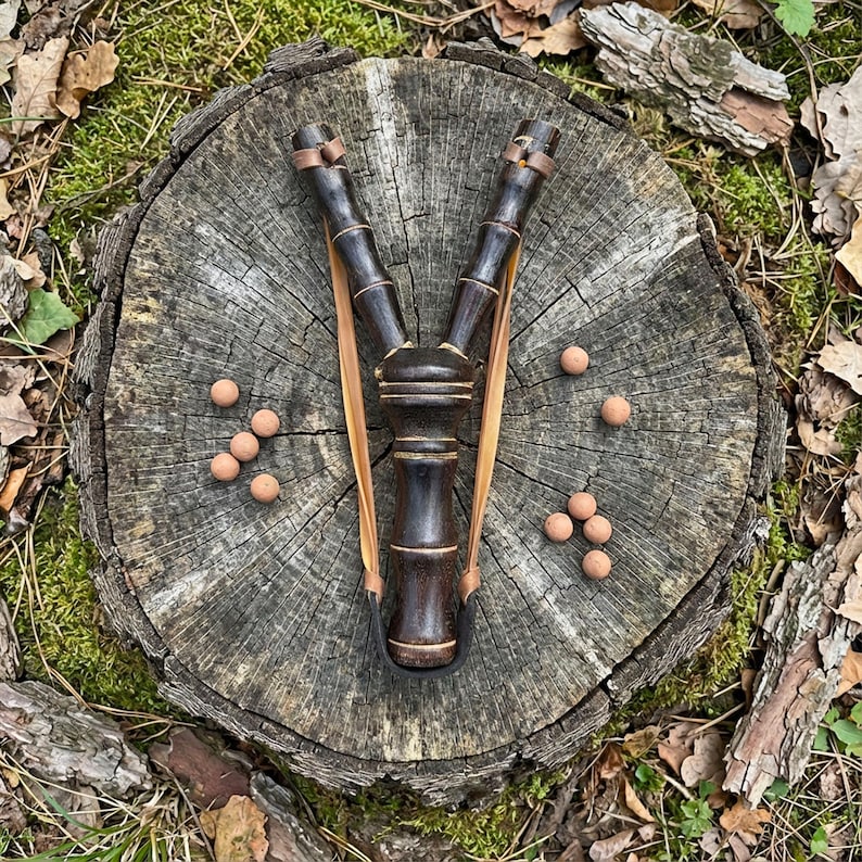 Wooden Animal Slingshot Toy for Kids: Outdoor Elastic Catapult - Etsy