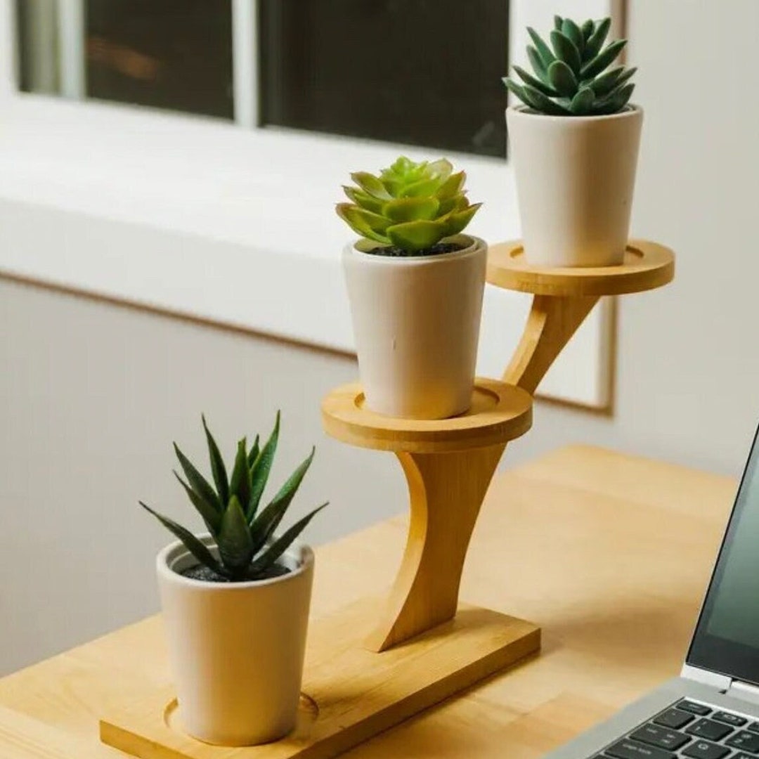 Bamboo Succulent Plant Stand | House Warming Gift | Office | Plant ...