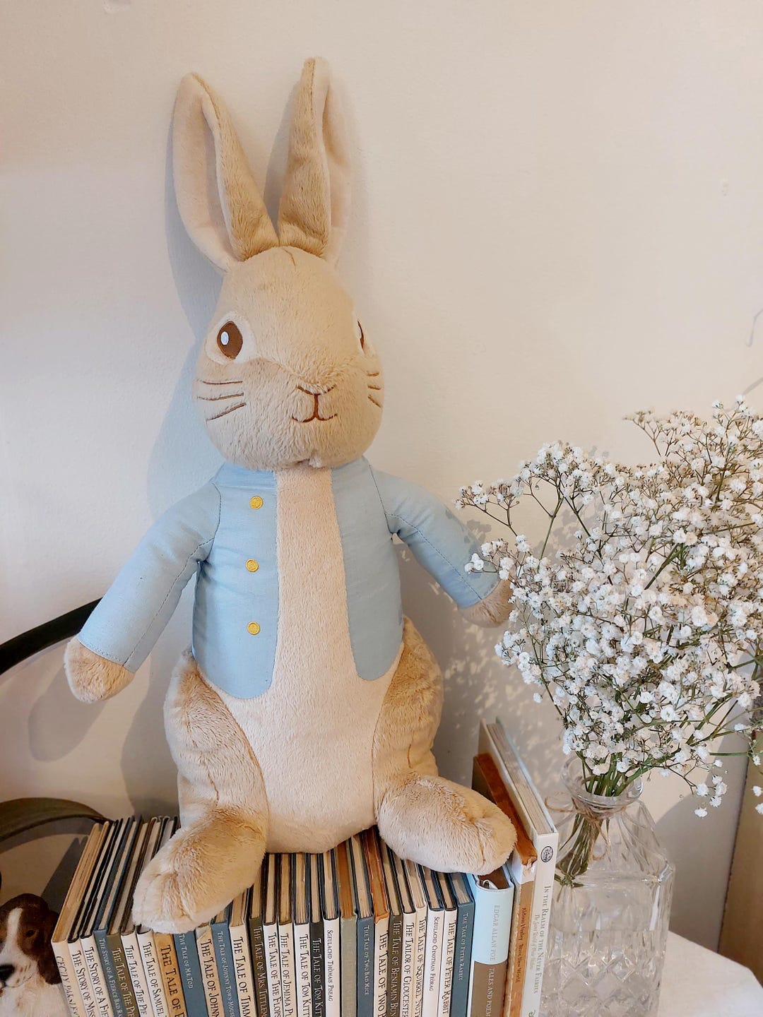 Giant Peter Rabbit Plush Toy - Etsy