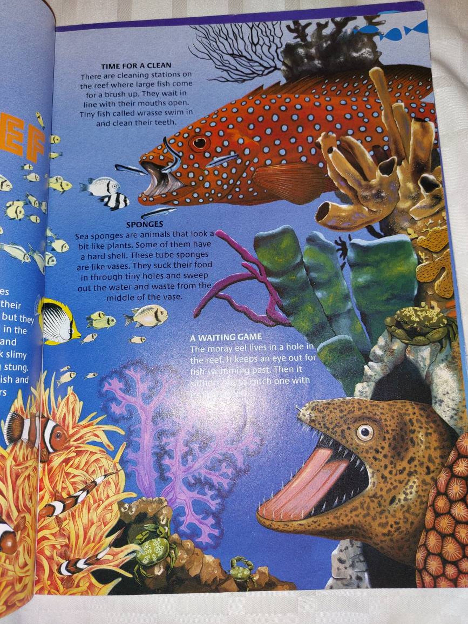 1994 DISNEY ARIEL Magazine Ariel's World Issue 3 Disney's Little ...