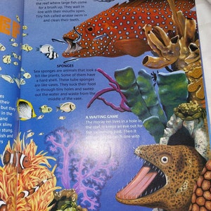 1994 DISNEY ARIEL Magazine Ariel's World Issue 3 Based on | Etsy