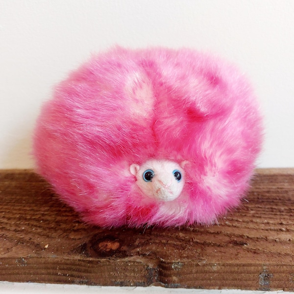 Pygmy Puff - Etsy