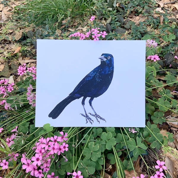 Grackle Painting - Etsy