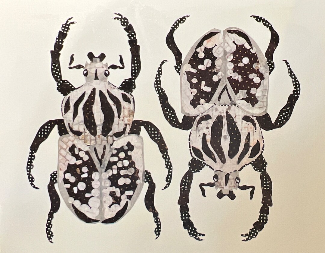 Yin & Yang Beetle Collage Print - Etsy