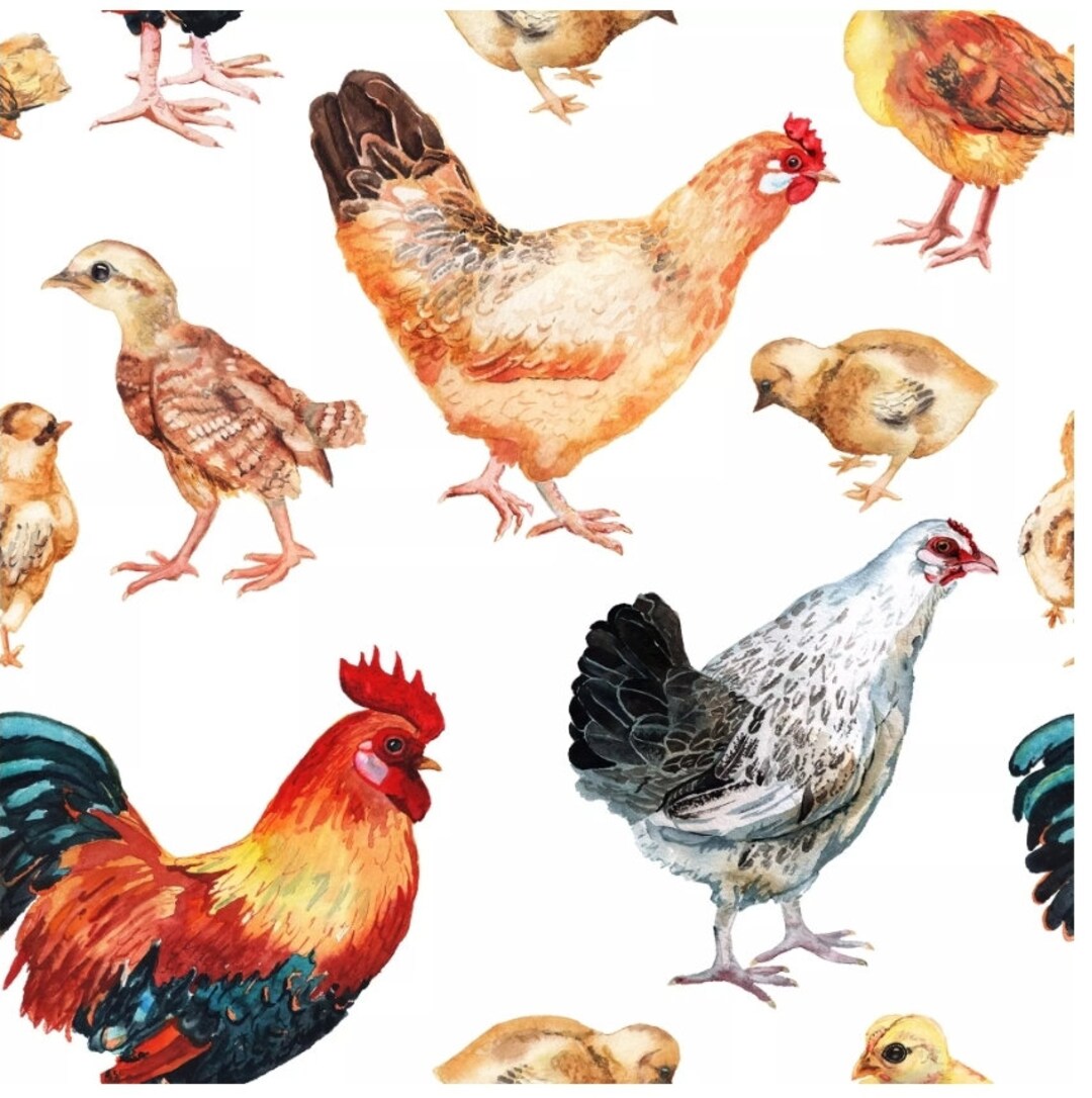 Decoupage Napkins - Chicken Rooster Paper Napkins - Set of 3 - Luncheon ...