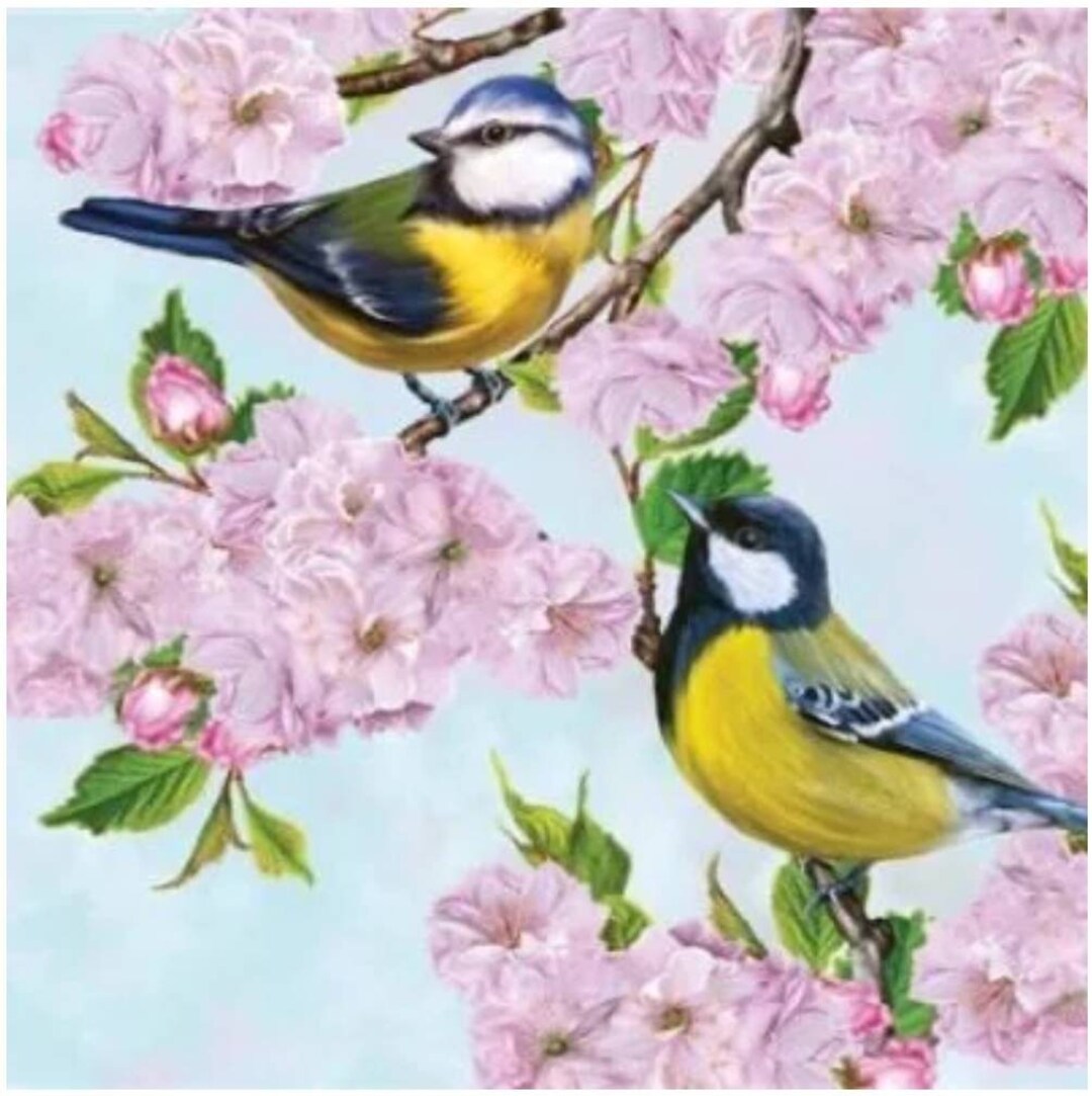 Decoupage Napkins- Bird Paper Napkins- Set of 3 - Luncheon Size - Etsy