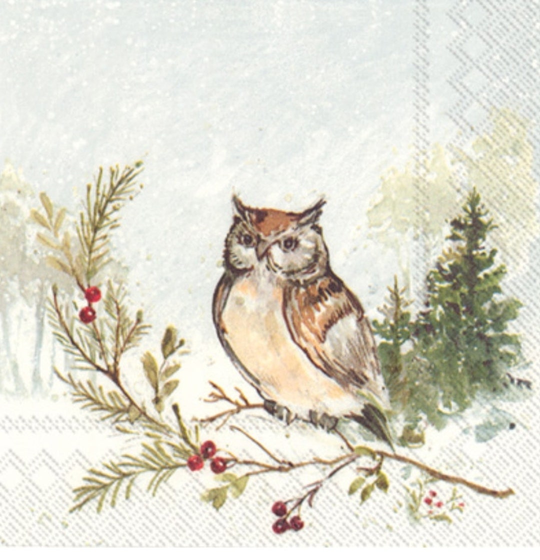 Decoupage Napkins - Owl Paper Napkins - Set of 3 - Cocktail Size - Etsy