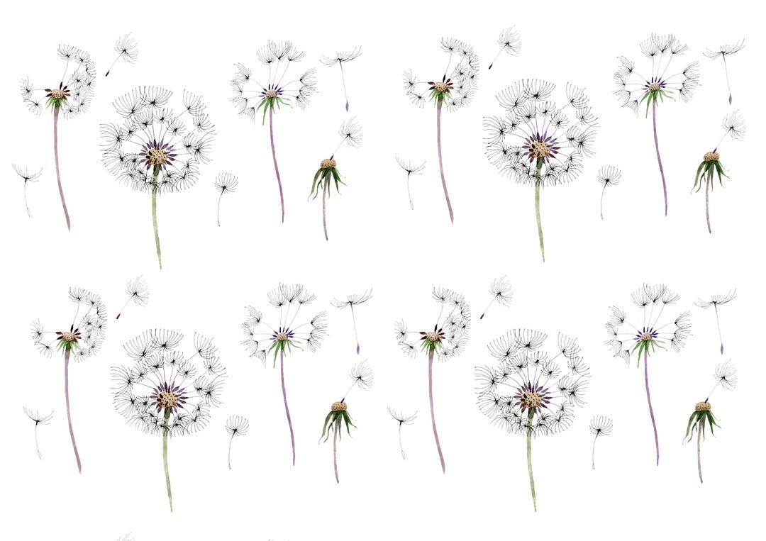 Rice Paper for Decoupage / Dandelion Flowers Wish / 1 Rice Paper / A4 ...