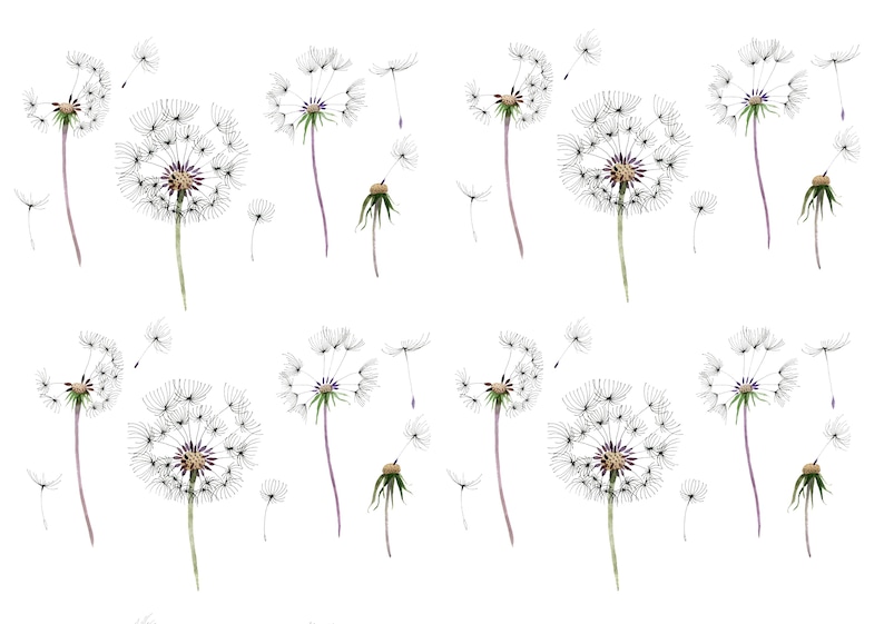 Rice Paper for Decoupage / Dandelion Flowers Wish / 1 Rice Paper / A4 ...