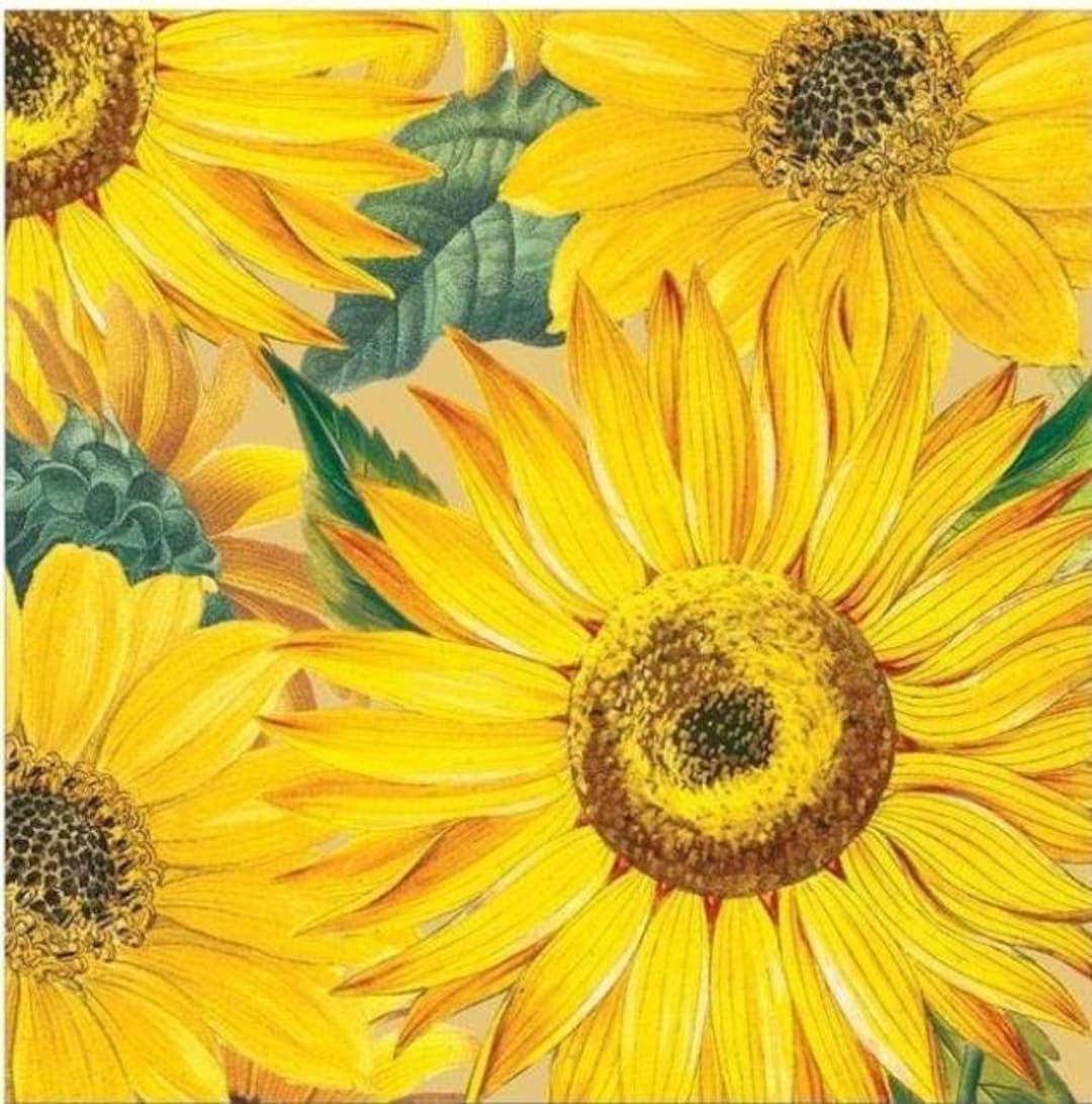 Decoupage Napkins- Sunflower Paper Napkins- Set of 3- Cocktail Size - Etsy