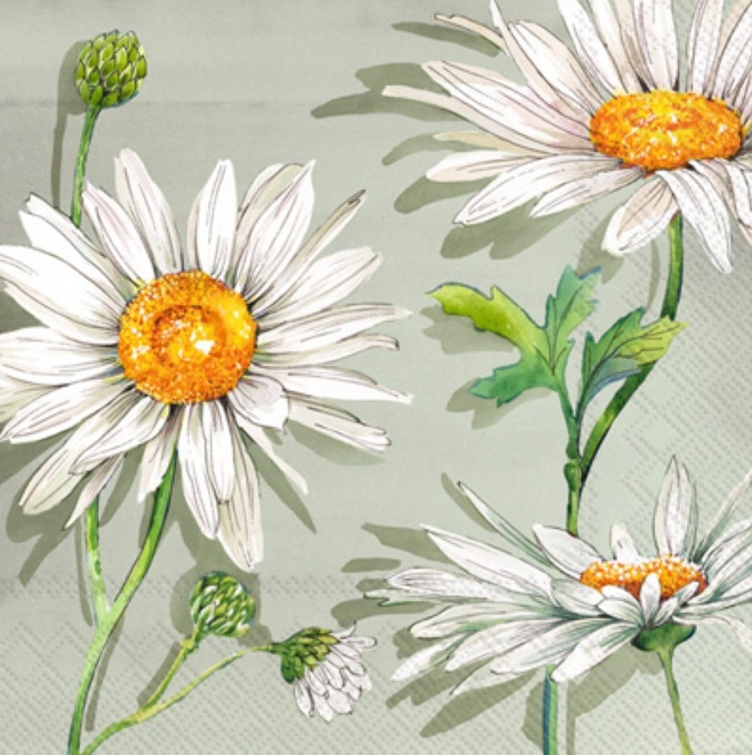 Decoupage Napkins- Daisy Paper Napkins- Set of 3- Cocktail Size - Etsy