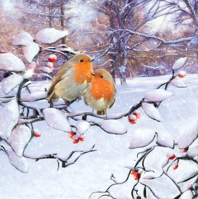 Decoupage Napkins- Christmas Robin Birds in Snow Paper Napkins- Set of ...