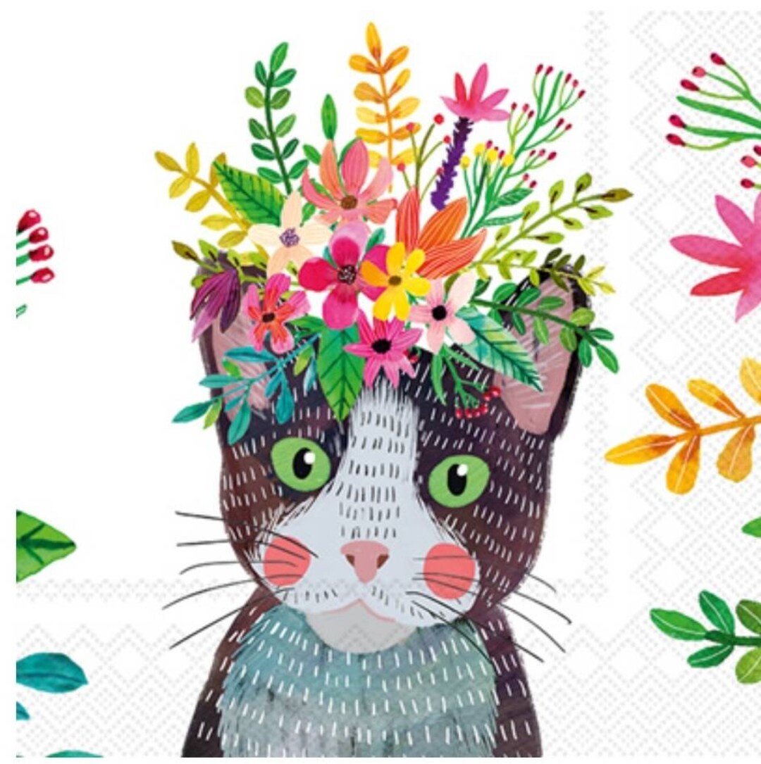 Decoupage Napkins Cat Paper Napkins Set of 3 Cocktail Size - Etsy