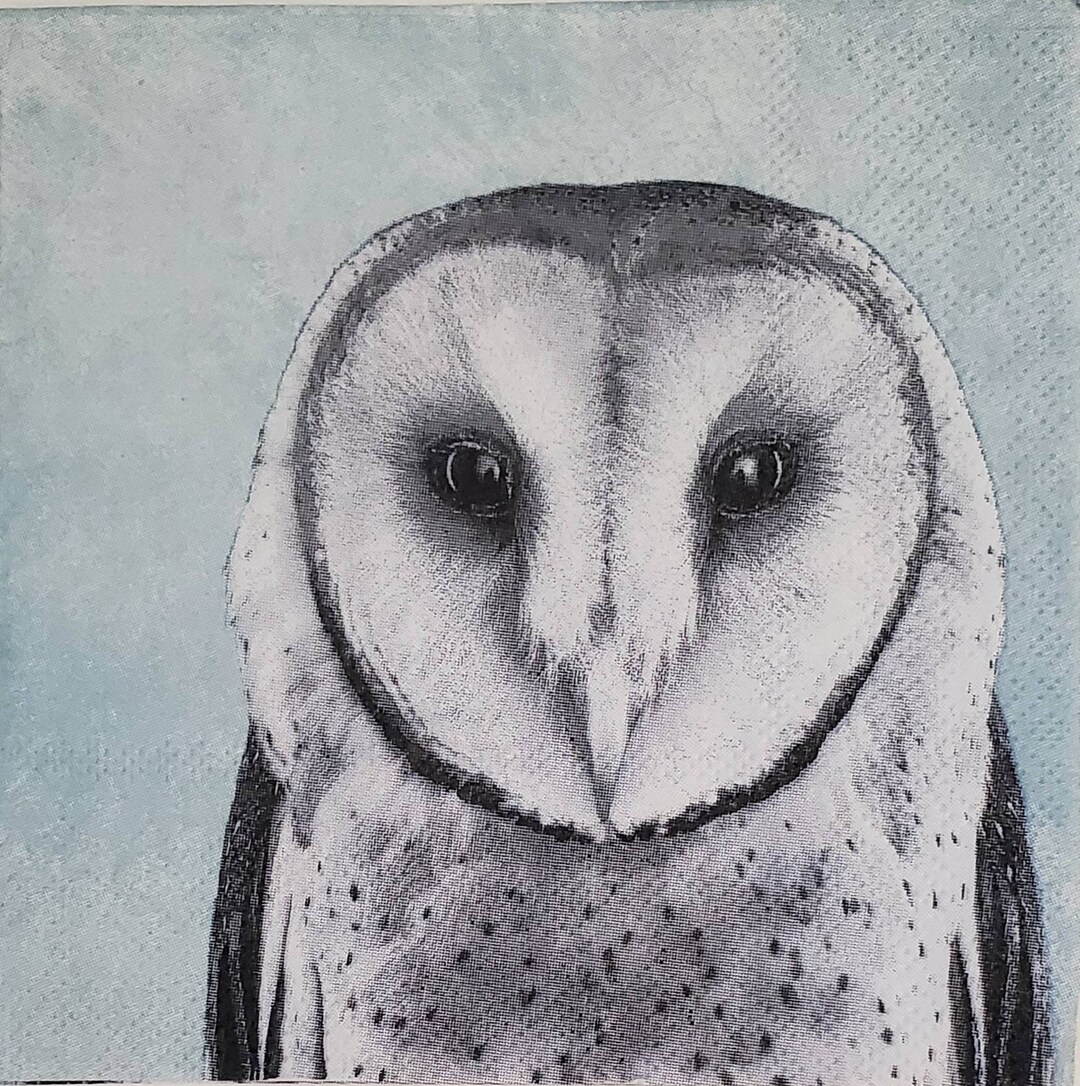 Decoupage Napkins- Owl Paper Napkins- Set of 3- Cocktail Size - Etsy