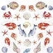 Decoupage Napkins- Crab & Seashell Fish Paper Napkins- Set of 3 ...
