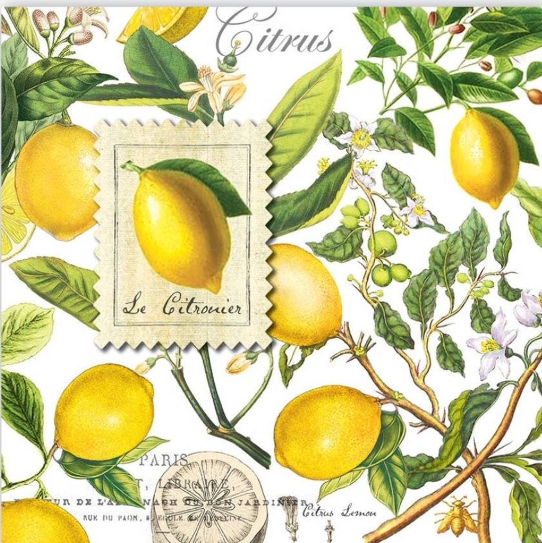 Decoupage Napkins Lemon Paper Napkins Set of 3 Cocktail Size - Etsy