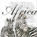 Decoupage Napkins Zebra Africa Paper Napkins Set of 3 Luncheon Size - Etsy