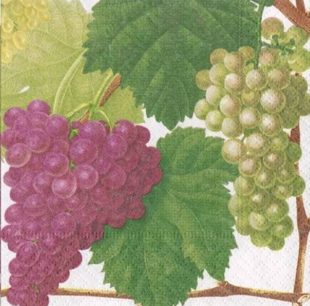 Decoupage Napkins Grape Wine Vineyard Paper Napkins Set of 3 Cocktail ...