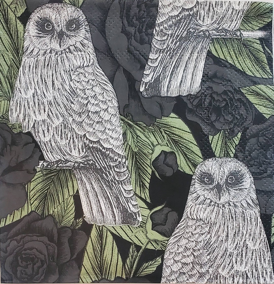 Decoupage Napkins- Owl Paper Napkins- Set of 3- Cocktail Size - Etsy