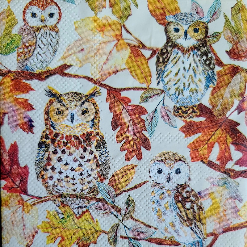 Fall Owl Paper Napkins - Etsy