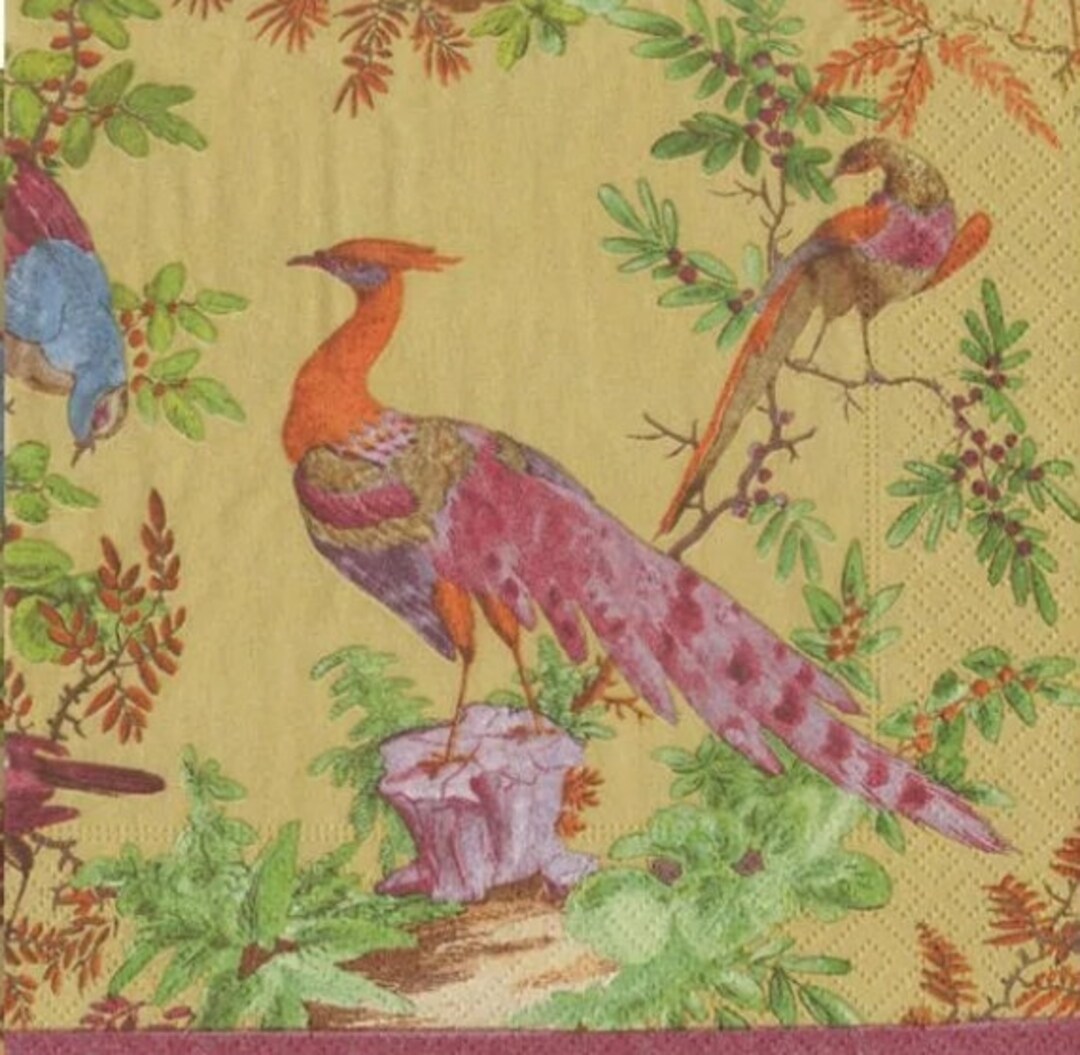 Decoupage Napkins Bird Paper Napkins Set of 3 Cocktail Size - Etsy