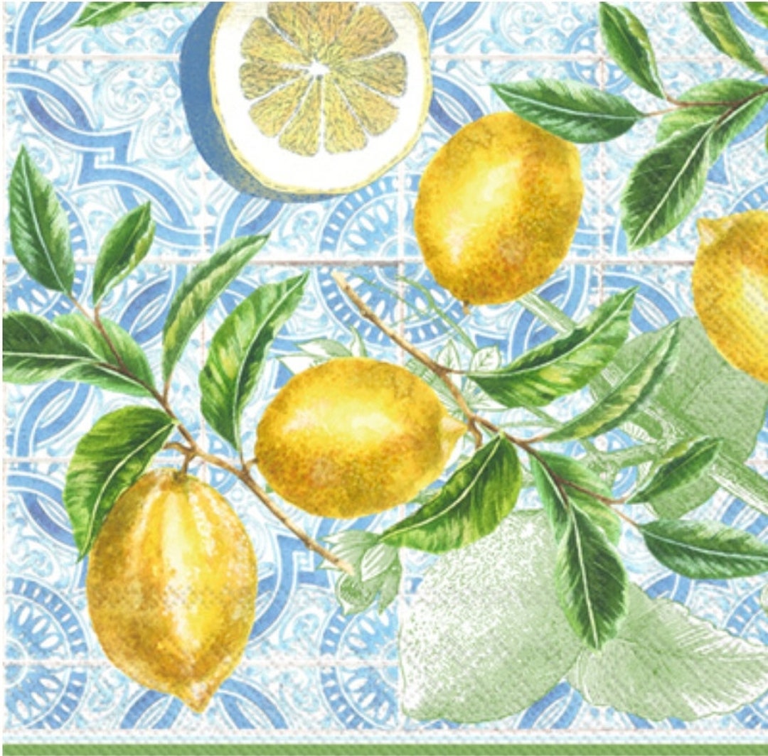 Decoupage Napkins- Lemon Tile Paper Napkins- Set of 3- Cocktail Size - Etsy