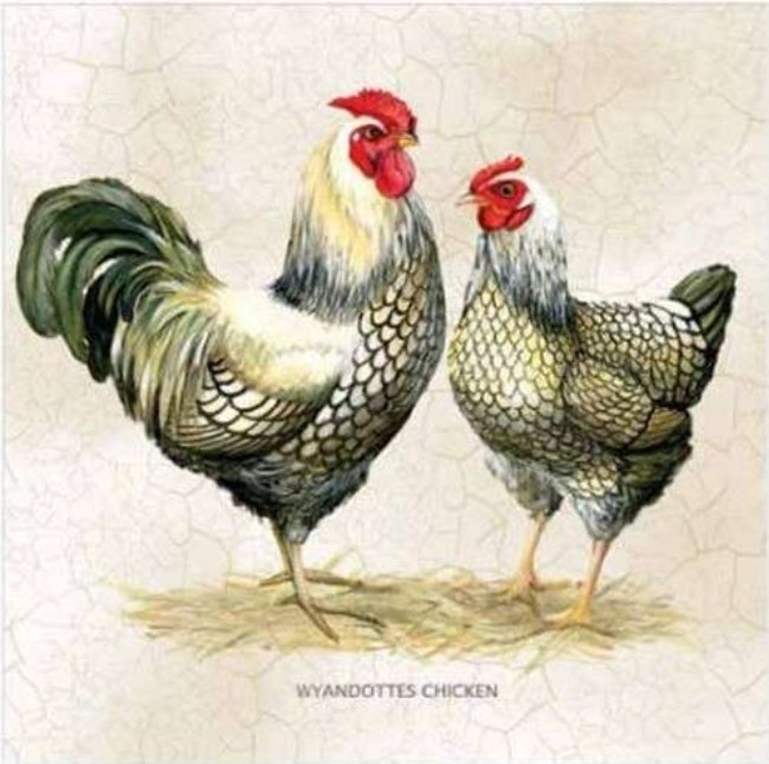 Decoupage Napkins - Chicken Couple Paper Napkins - Set of 3 - Luncheon ...
